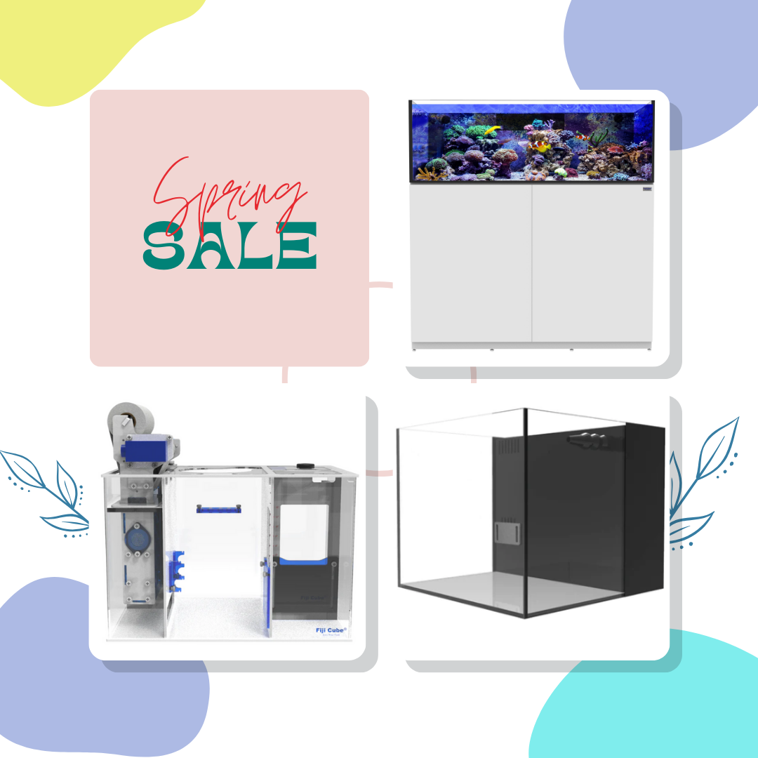 Fiji Cube - Saltwater and Reef Aquarium Hub
